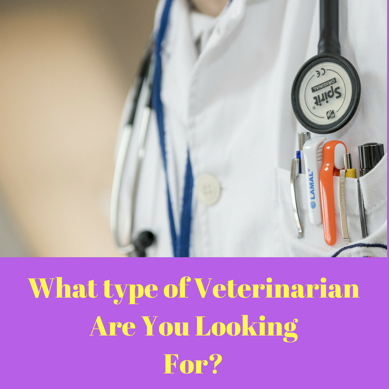 What type of veterinarian are you looking for? - The Animal Doctor Blog